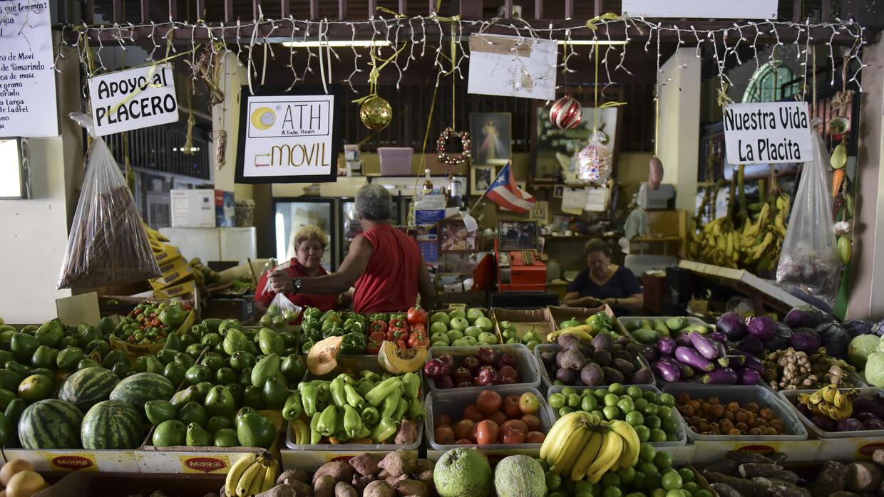 Don’t call it a comeback yet: The future of farming in Puerto Rico ...